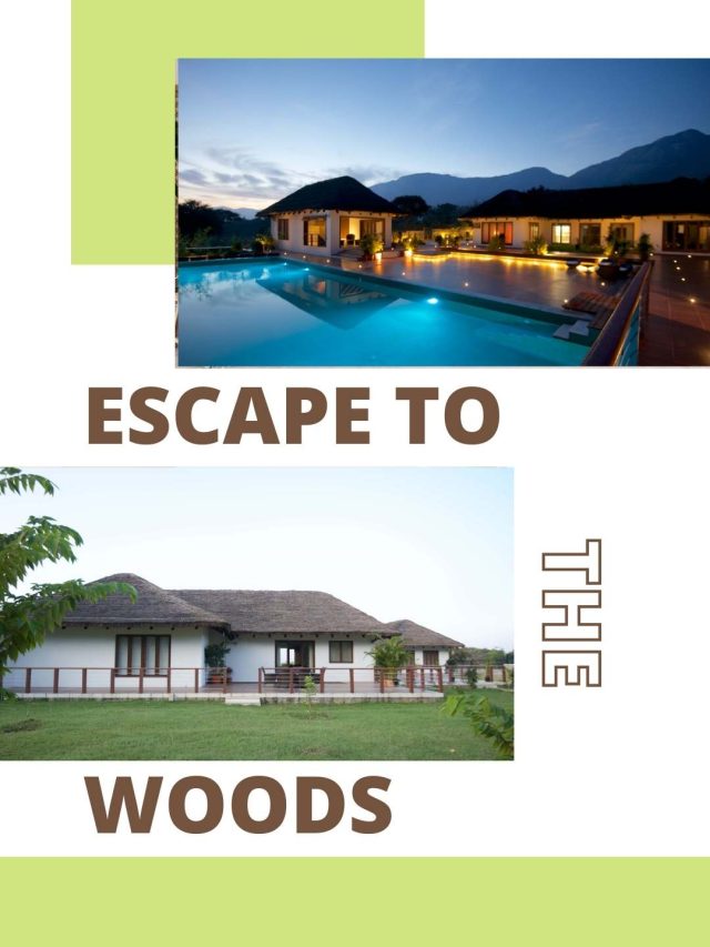 Woodsy Wonderland: Escape to A360 Architects' Timber Villa!